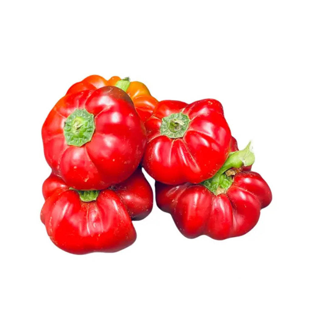 Papaccelle napoletane – Gasparino Macelleria